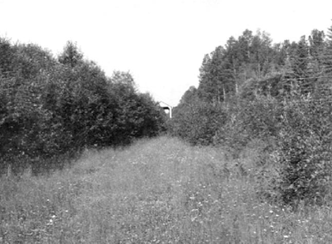 Blogue sur les ponts couverts